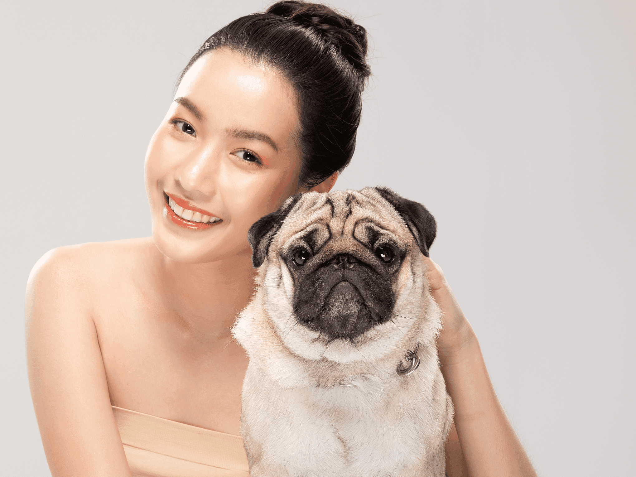 Najpopularniejsze Angielskie Rasy Psów; Poznaj je Wszystkie; Lista